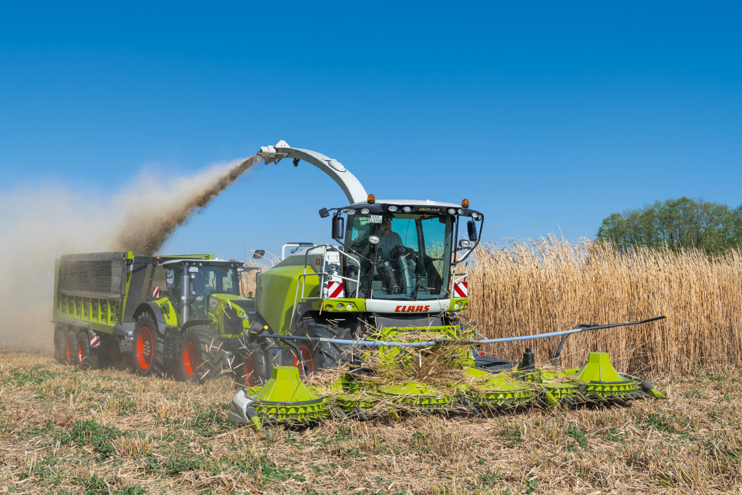 CLAAS | JAGUAR 800